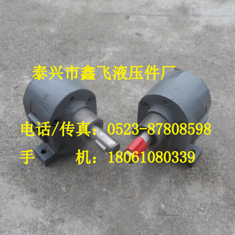 上海沪东机床厂B6050牛头刨床润滑油泵6050齿轮泵B650液压泵配件-阿里巴巴